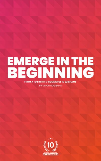 Bit Dynamics – Web & Application Development